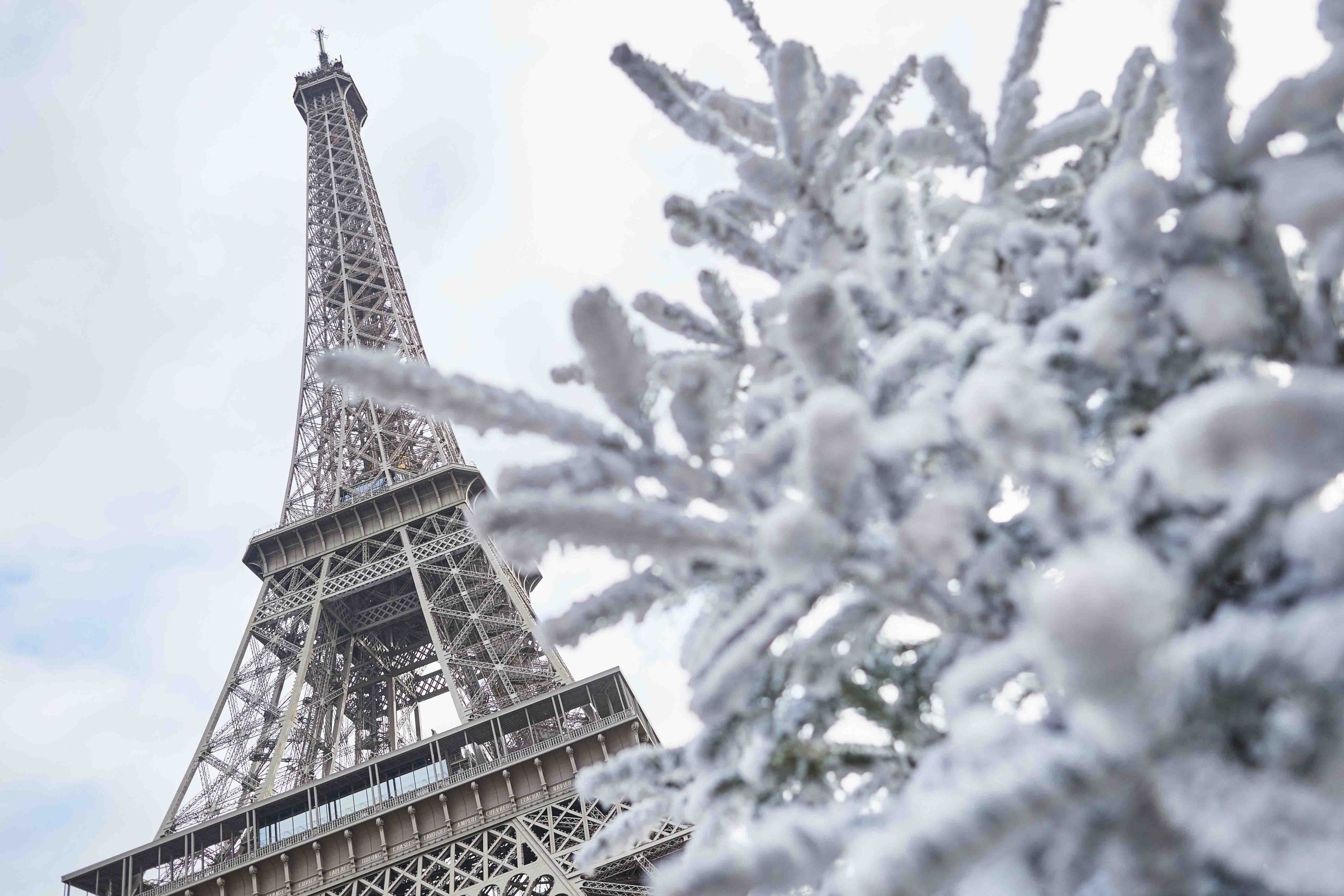 5 cosas qué hacer en Navidad y Fin de Año en París - Mochileros TV